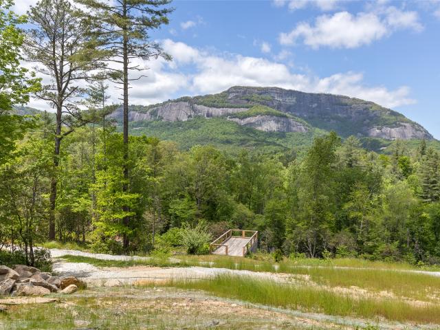 206 Sanctuary View Trail