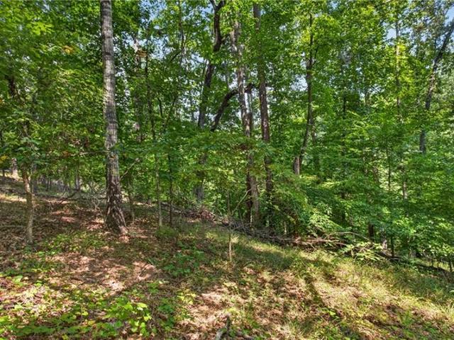 206 Shipmaster Dr, Salem, SC 29676