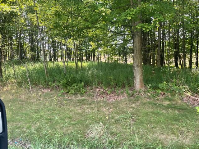 206 State Hwy, Bainbridge, NY 13733 | MLS #R1679