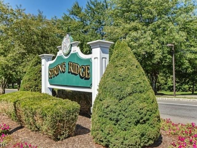206 Potomac Dr, Bernards Twp, NJ 07920