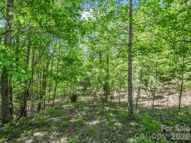 206 Westmoreland Trail # 8