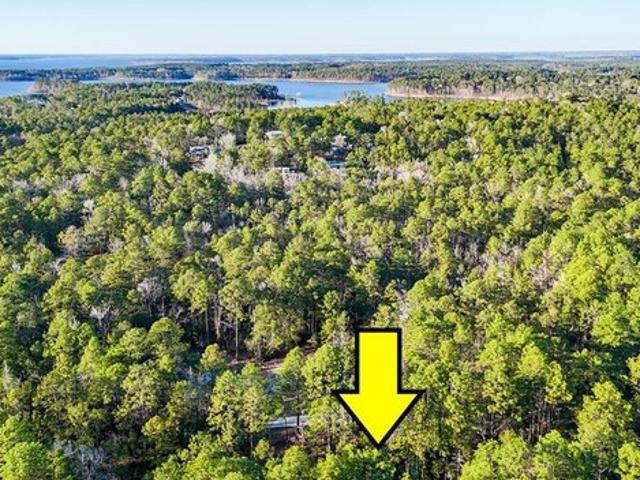 206 Tupelo Dr, Brookeland, TX 75931