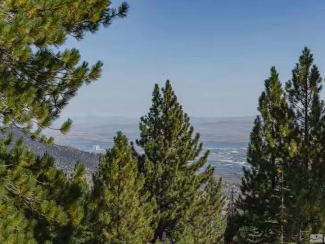 20755 OLD MT ROSE HWY, RENO, NV 89511 Vacant Land For Sale ML.