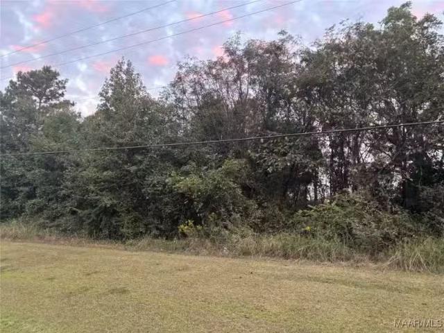 2075 COUNTY ROAD 81, VALLEY GRANDE, AL 36703
