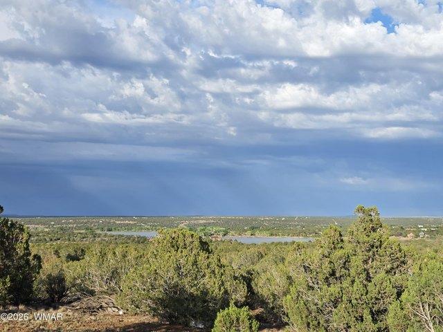 2075 Parker Ranch Rd, Show Low, AZ 85901