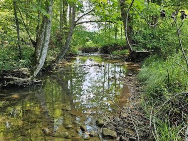 2076 and 2188 Laurel Creek Rd, Greenville, WV 24945