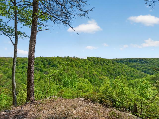 2076 Timberwood Trace Lots 317&318