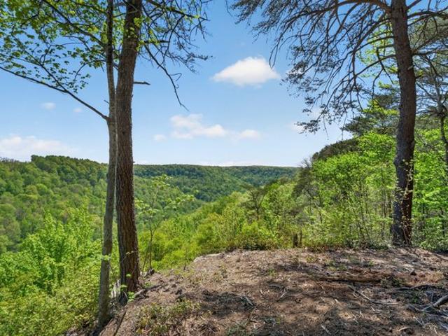 2076 Timberwood Trce Lots 317 & 318, Monteagle, TN 37356