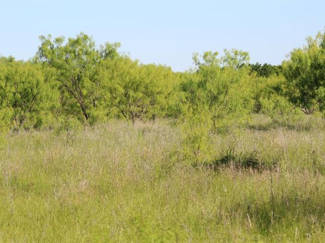 2077 B Shawver Rd, Jacksboro, TX 76458 | MLS #20928