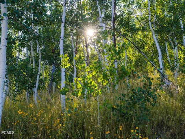 2070 Uintah View Dr Lot PI G, Coalville, UT 84017