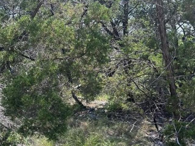 20710 Ranger Trl, Lago Vista, TX 78645