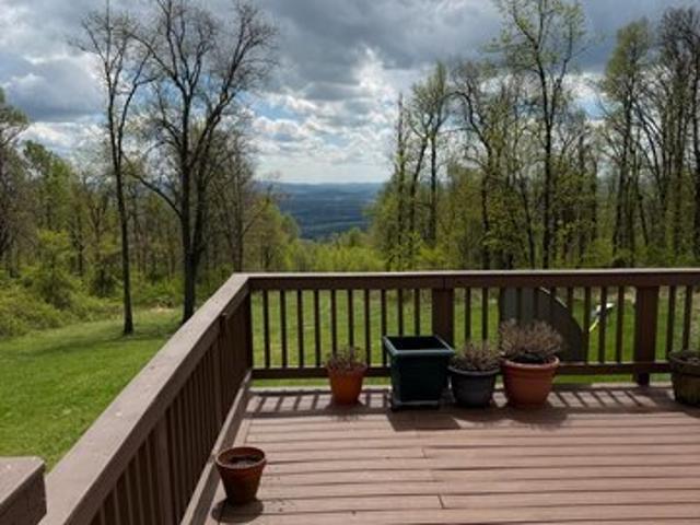 20711 Blueridge Mountain Rd, Paris, VA 20130