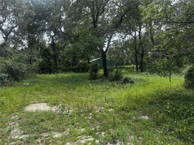 20716 SE 156th Pl, Umatilla, FL 32784