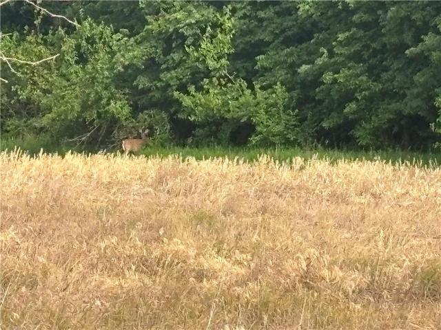 207th Rd, Spring Hill, KS 66083 | MLS #2425