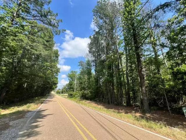 207 CHURCH RD, BRANDON, MS 39047 Vacant Land For Sale MLS# 35.