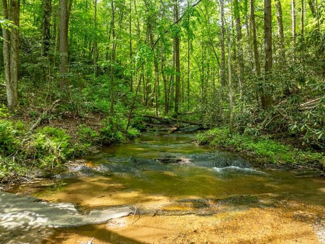 207 Chapman Dr, Ellijay, GA