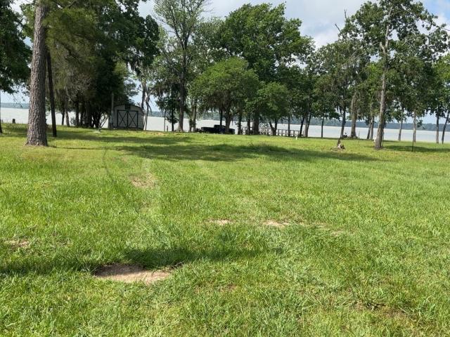 207 Creek Rd, Trinity, TX 75862 | MLS #88744