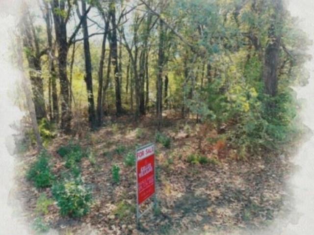 207 Acres Loop