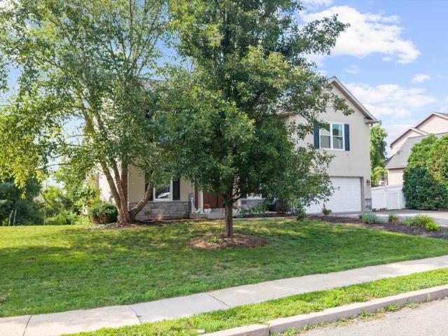 207 Balsam Drive