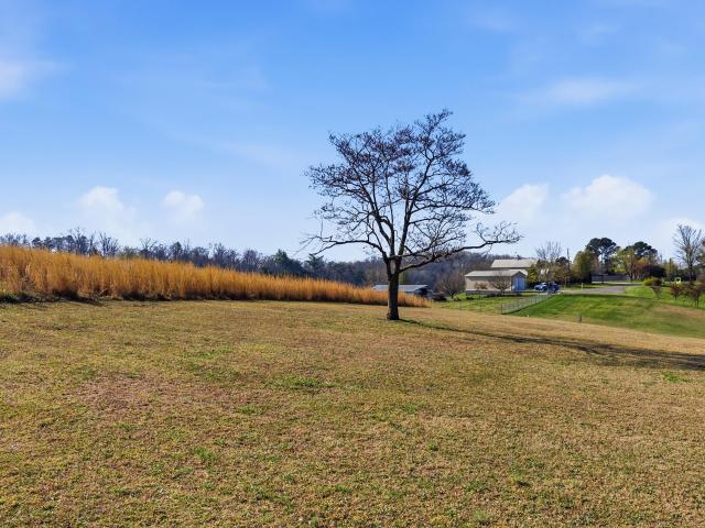 207 Dogwood Lane