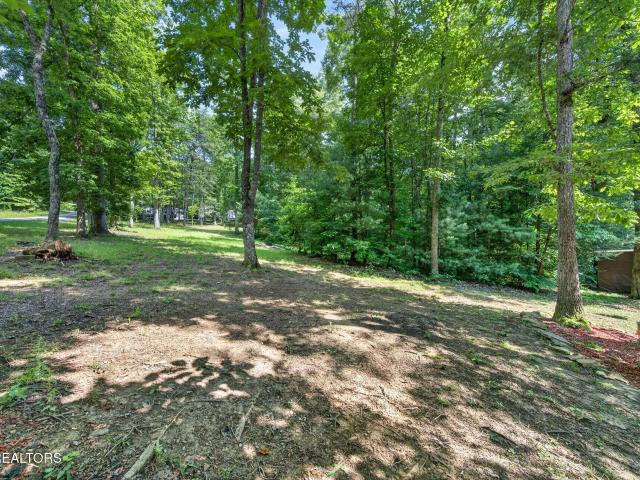 207 David Crockett Rd