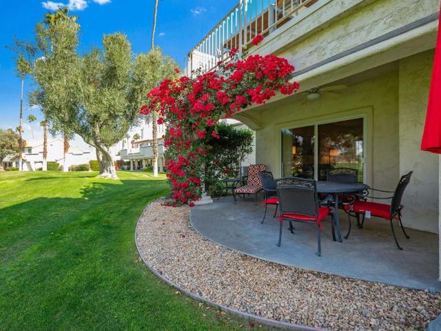 207 Desert Falls Circle