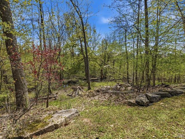 207 Forest Creek Lane