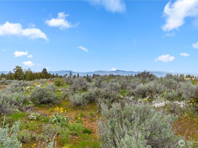 207 Falcon Ridge Rd, East Wenatchee, WA 98802 | MLS #2504 | Compass