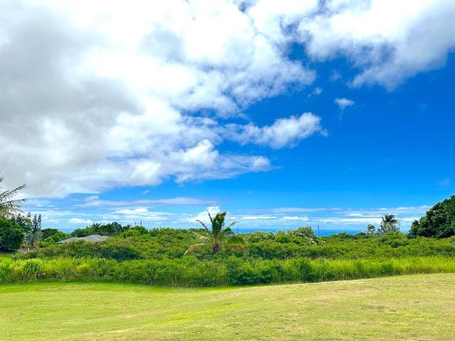 207 Kia Kahi St, Naalehu, HI 96772 | MLS #729389 | Compass