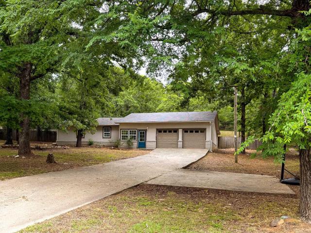 207 Orchid Drive