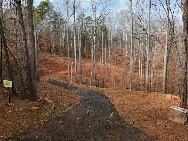 207 Loblolly Pine Drive