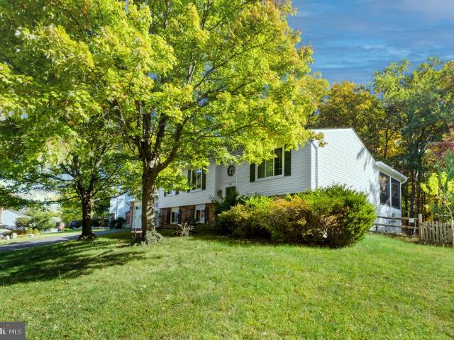 207 Silverleaf Drive