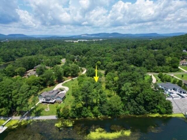 207 Red Stone Dr, Scottsboro, AL 35769