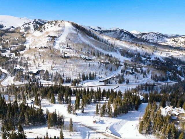 207 White Pine Canyon Rd Lot 207, Park City, UT 84060