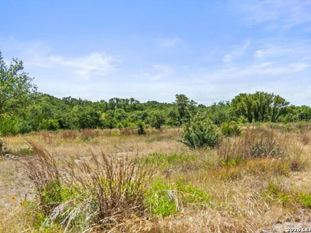 207 Verbena Ct
