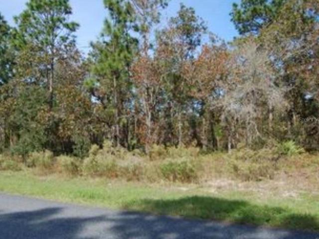 2084 W Riley Dr, Citrus Springs, FL 34434 | MLS #O6364 | Compass