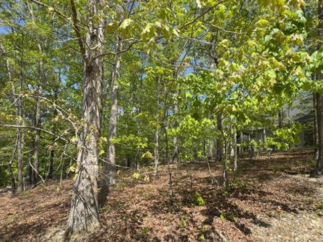 2085 Old Dogwood Trl, Loudon, TN 37774