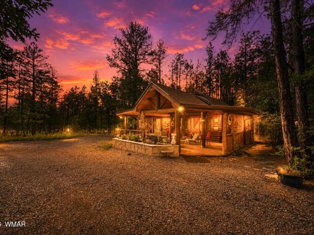 2086 Brown Bear Loop