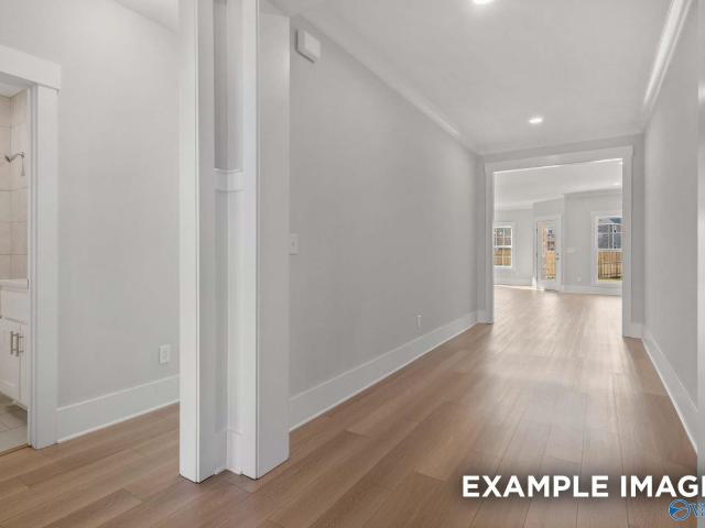20872 English Ivy Lane