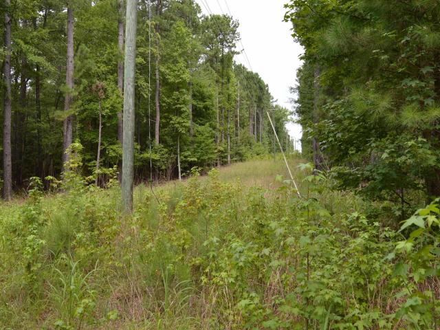2087 Longtown Road