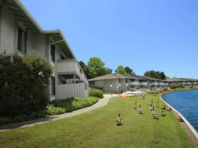 $2088 / 1br 687ft² Lagoon Views from Beach Cove!