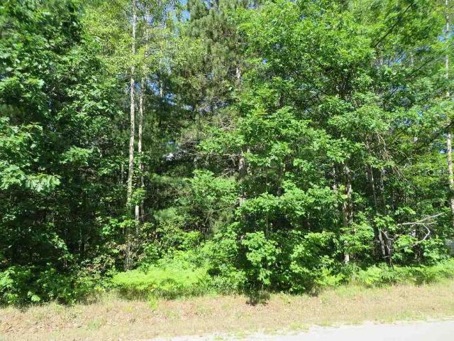 2089 E Log Lake Road # Lot 23