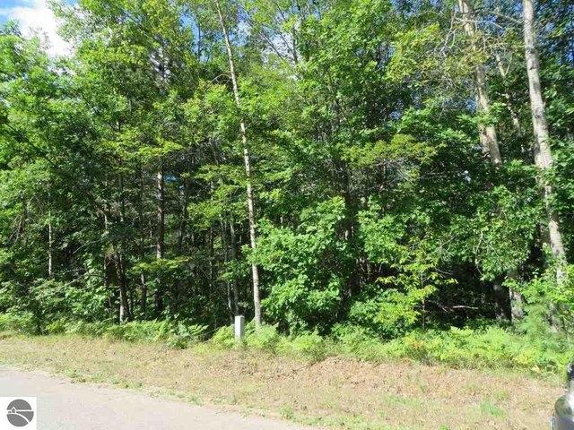2089 E Log Lake Rd Lot 23, Kalkaska, MI 49646