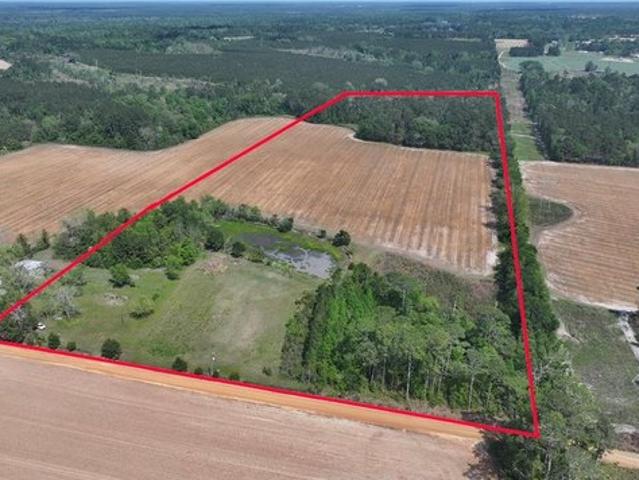 2080 Rizer Rd, Quitman, GA 31643