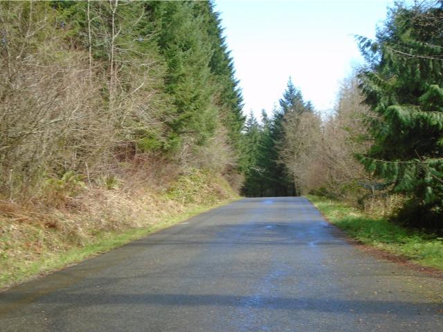 20817 ne yacolt mountain rd