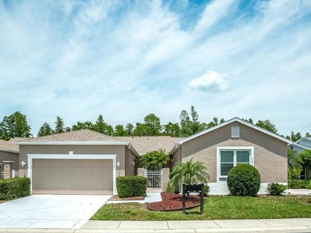 20815 Eustis Rd, Land O Lakes, FL 34637