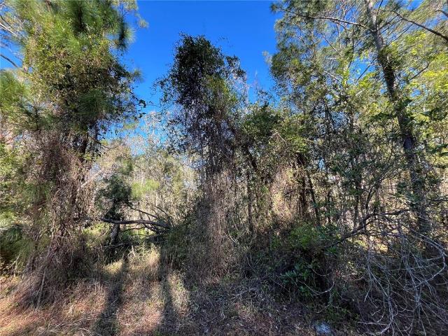 208 3rd St, Georgetown, FL 32139 | MLS #OK225378