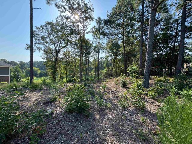 208 Crickentree Drive