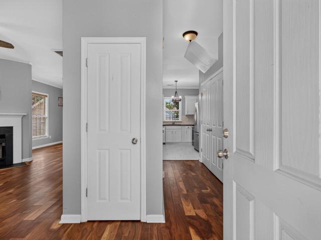 208 Dandelion Street