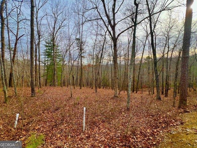 208 Harris Ridge Dr, Ellijay, GA 30540